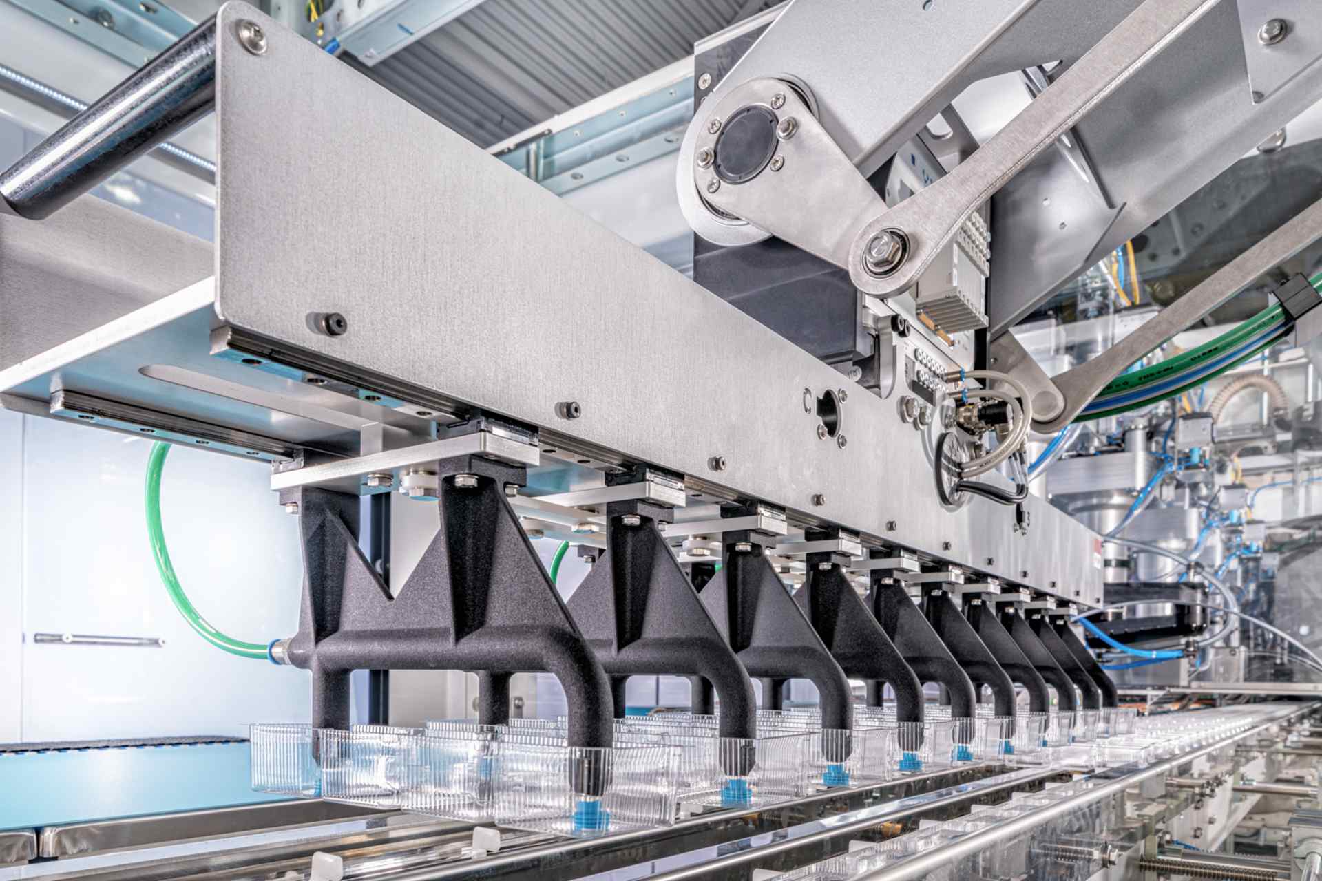 Delica Schubert Group